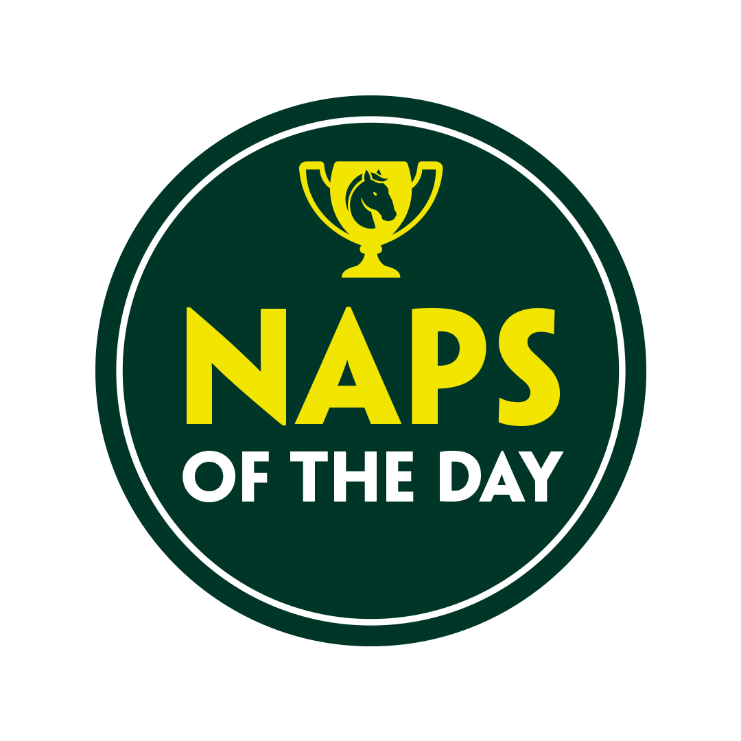 Horse Racing Betting & Horse Racing Odds » Paddy Power™