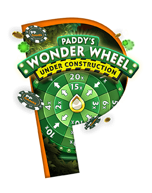 Paddy Power™ Online Sports Betting Site - Bet on Sports