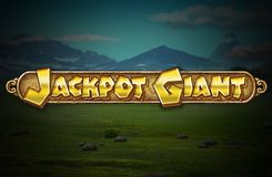 Paddy Power Online Poker